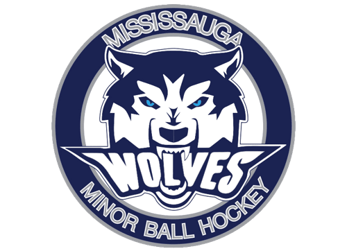 spring 2026 - Co-Ed | Mississauga Minor Ball Hockey League